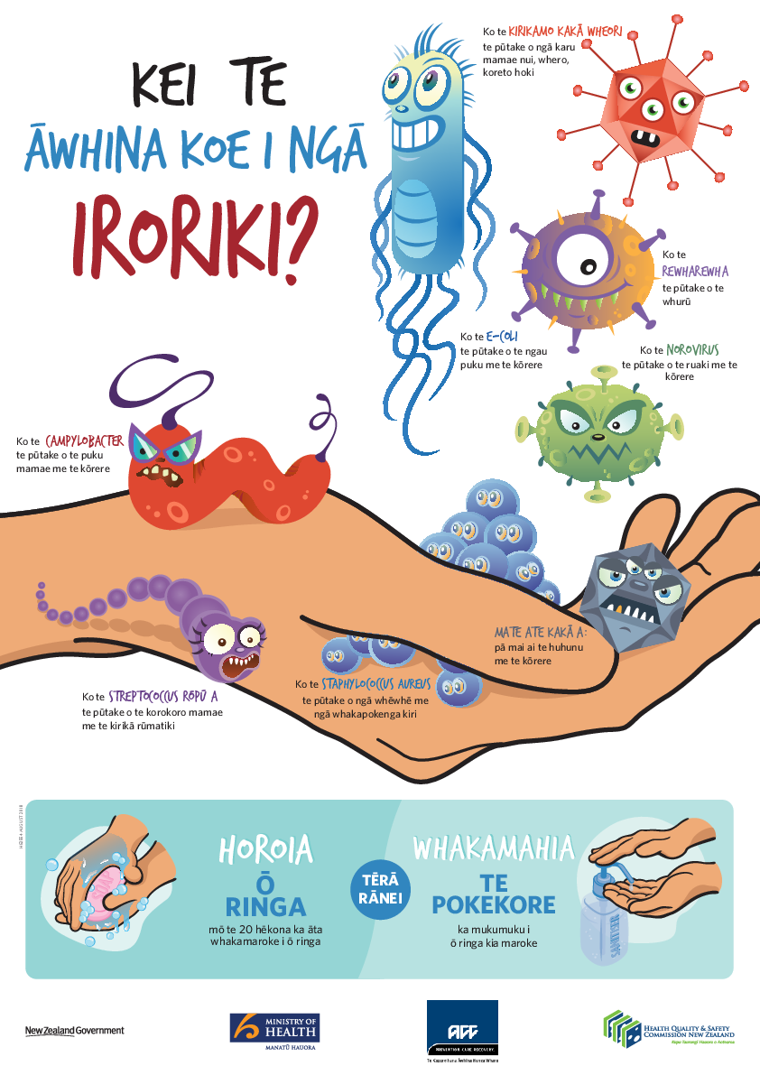 Are You Giving Germs A Hand Te Reo Māori Version He2554 Healthed