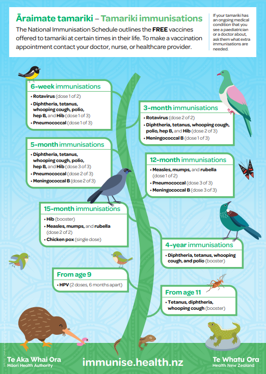 Tamariki immunisations schedule poster - NIP8792 – HealthEd